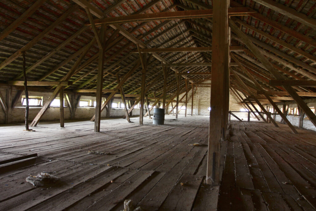 12 Items You Shouldn’t Store in the Attic - House Frey